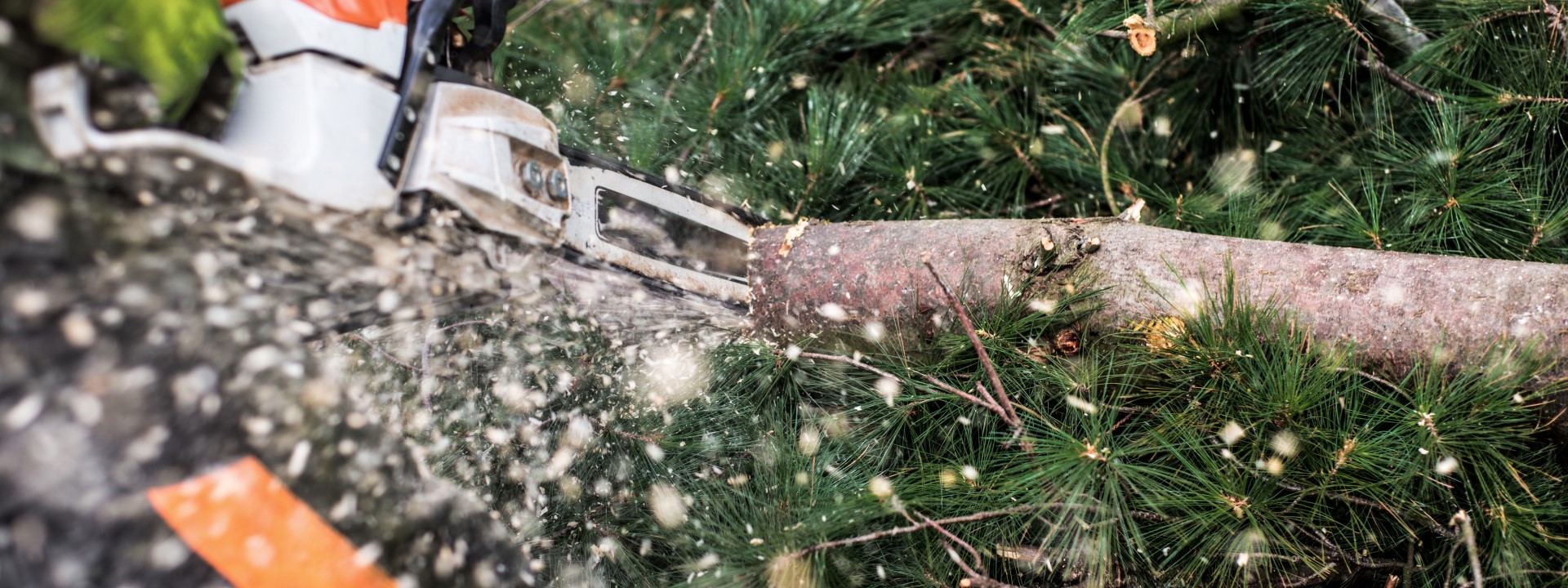 Entreprise Spécialisée en Arboriculture au Québec - Entreprise ...