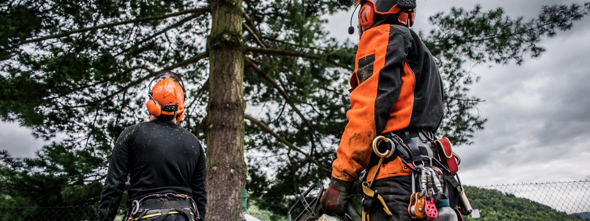 Entreprise Spécialisée en Arboriculture au Québec - Entreprise ...